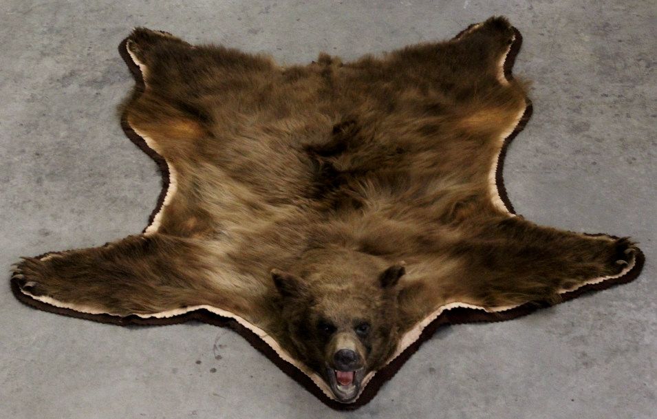 Cinnamon Black Bear Rug