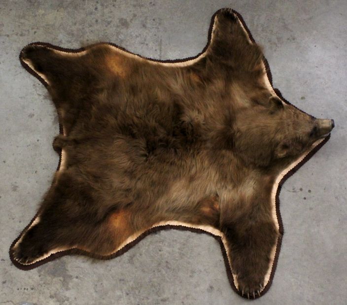 Cinnamon Black Bear Rug