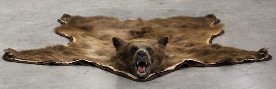 Cinnamon Black Bear Rug