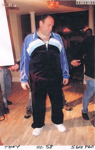 The Sopranos Tony Soprano (James Gandolfini) Tracksuit Costume