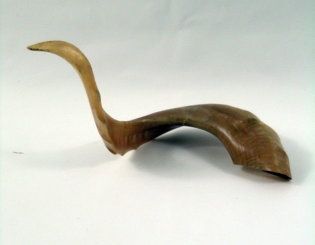 Lord Of The Rings: Fellowship Horn Prop