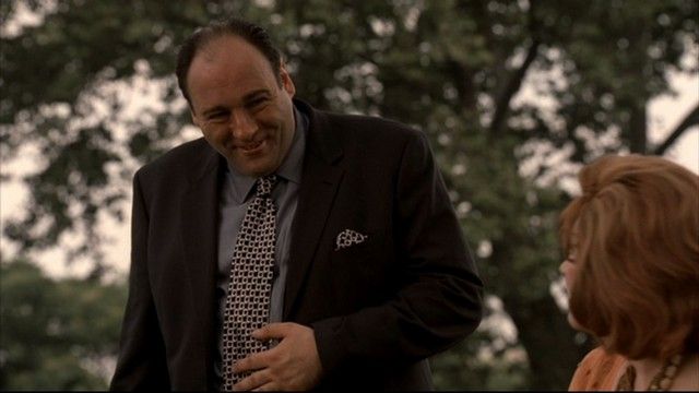 The Sopranos Tony Soprano (James Gandolfini) Tie Costume