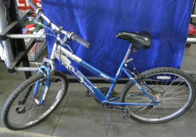 Woman's Blue Roadmaster Mountain Bike.