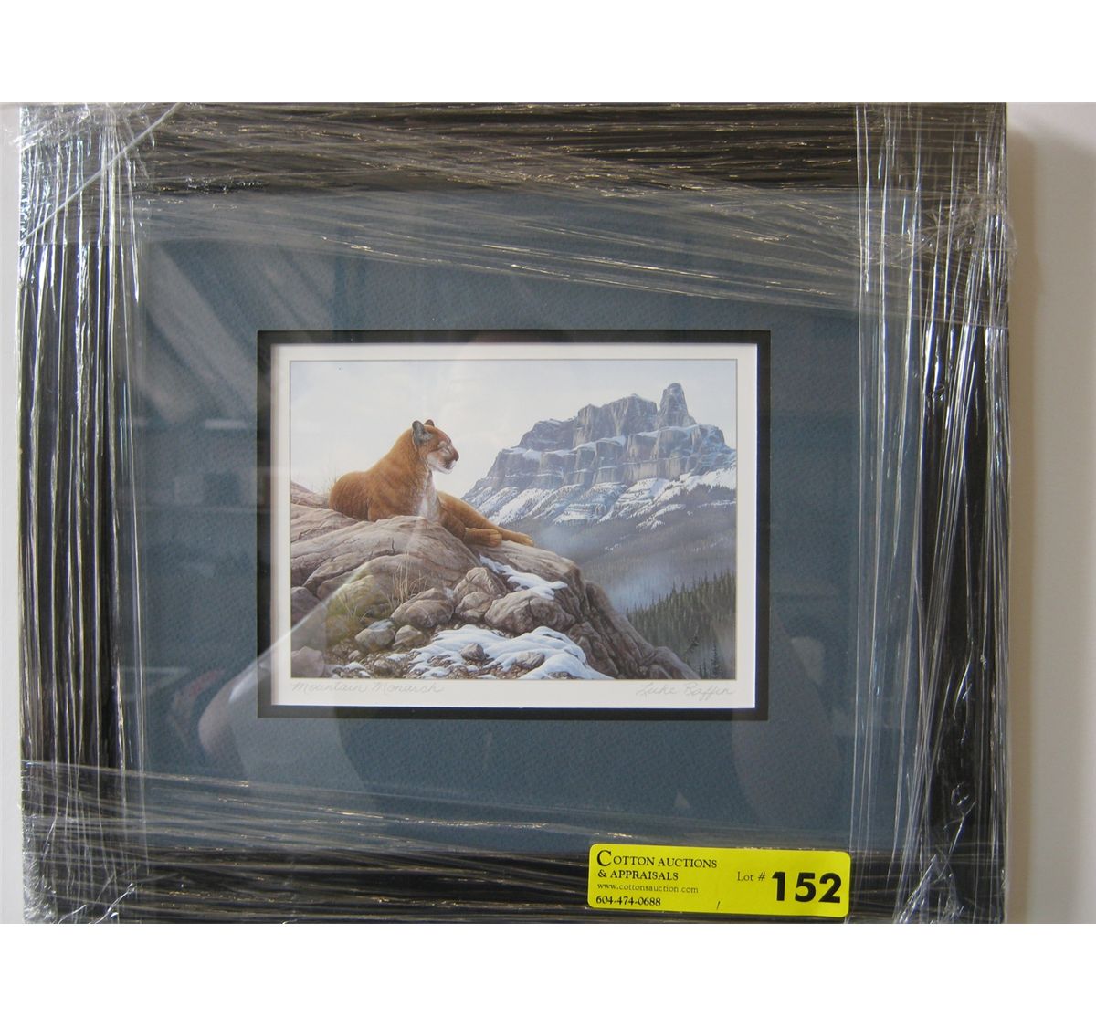 "Mountain Monarch" by Luke Raffin. Signed
