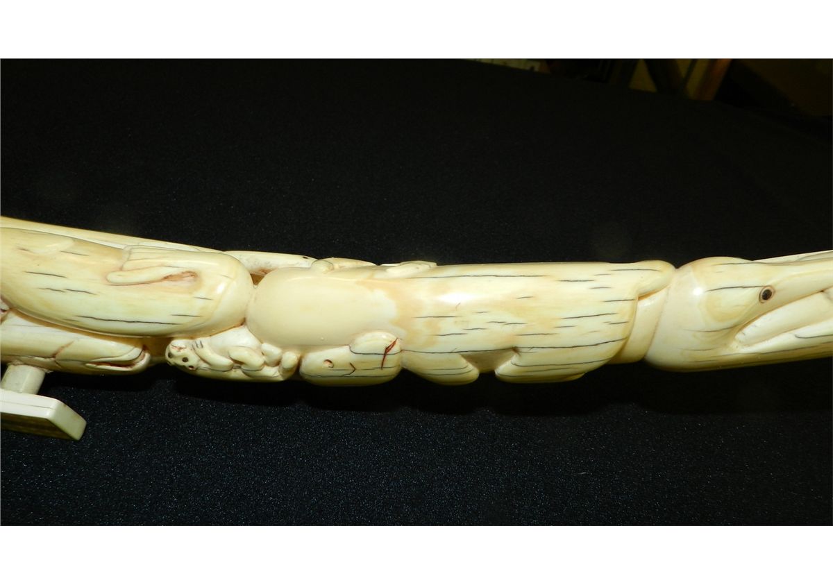breathtaking Native American Alaskan carved Ivory tusk w/ walruses ...