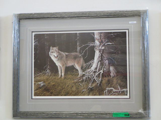 "Timber Wolf" by Marla Wilson