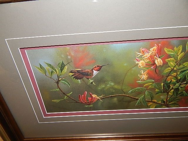 FRAMED LIMITED EDITION PRINT " HUMMINGBIRD & HONEYSUCKLE" - LUKE RAFFIN