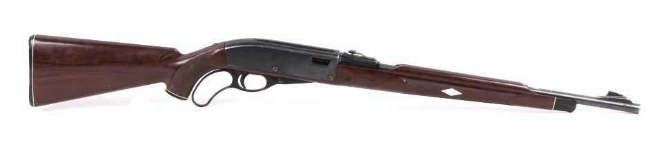 Remington Nylon 76 .22 Long Rifle