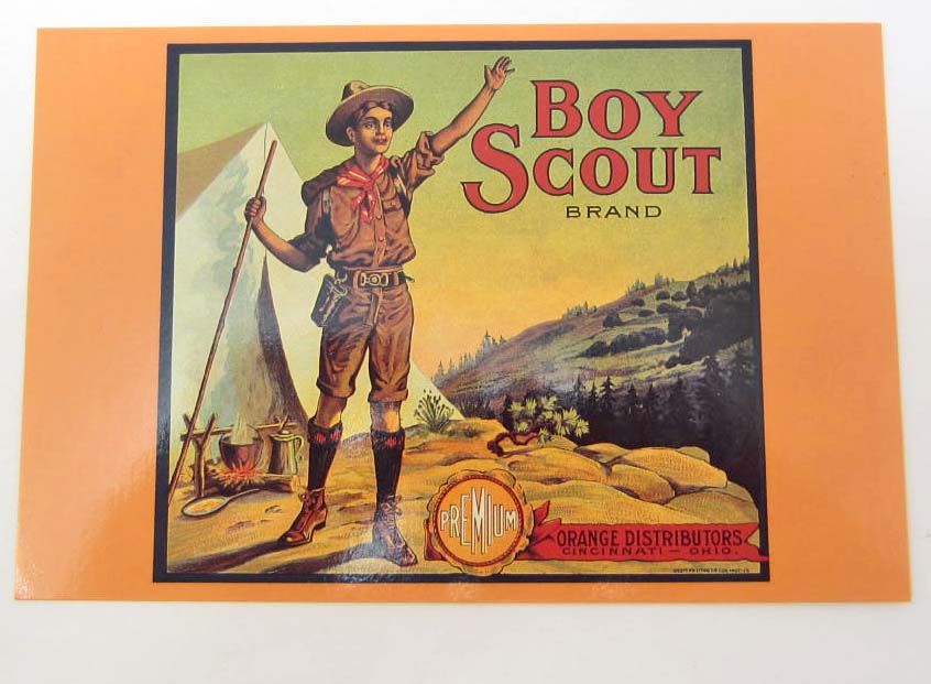 VINTAGE BOY SCOUT BRAND FRUIT LABEL