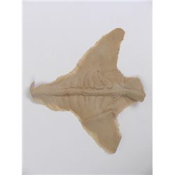 Star Trek: The Next Generation Alien Forehead Prosthetic