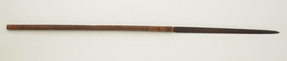 Mid-19th century Buffalo Lance from Plains Indian tribes with long ...
