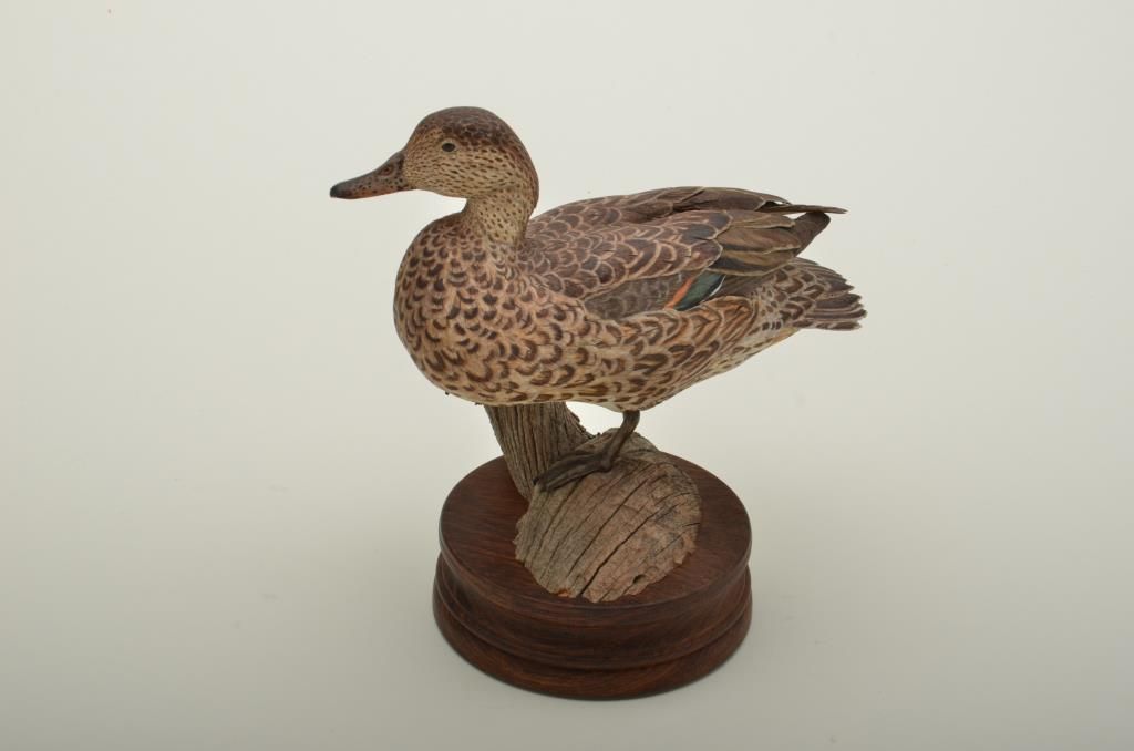 Excellent carved green wing teal wood carving on stand by Greg Woodward ...