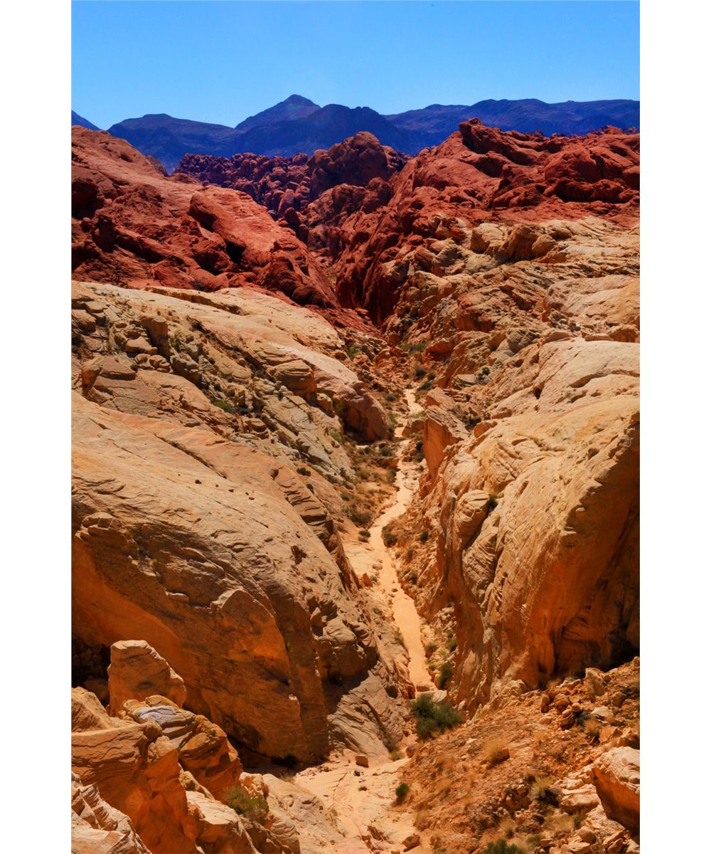 Original Fine Art Canvas by Artist Jessica Kuiper