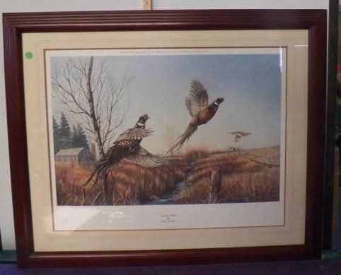 Autum Flush by Rick Morkel