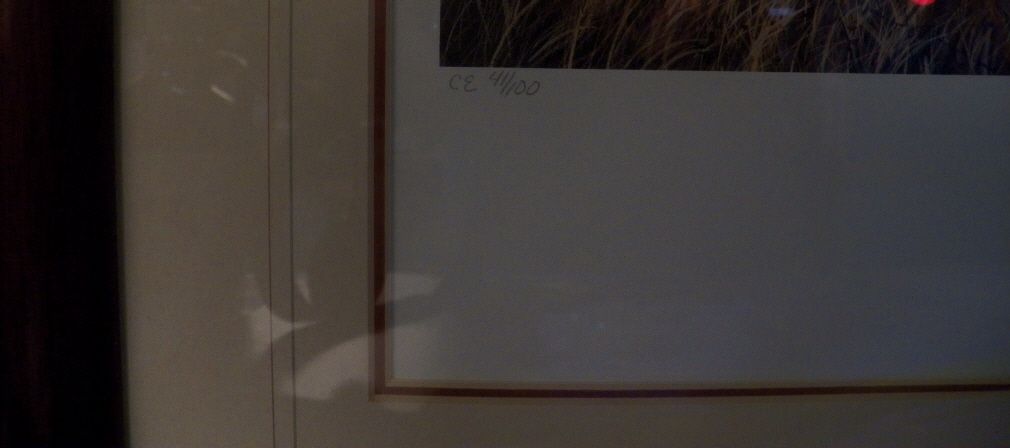 Autum Flush by Rick Morkel