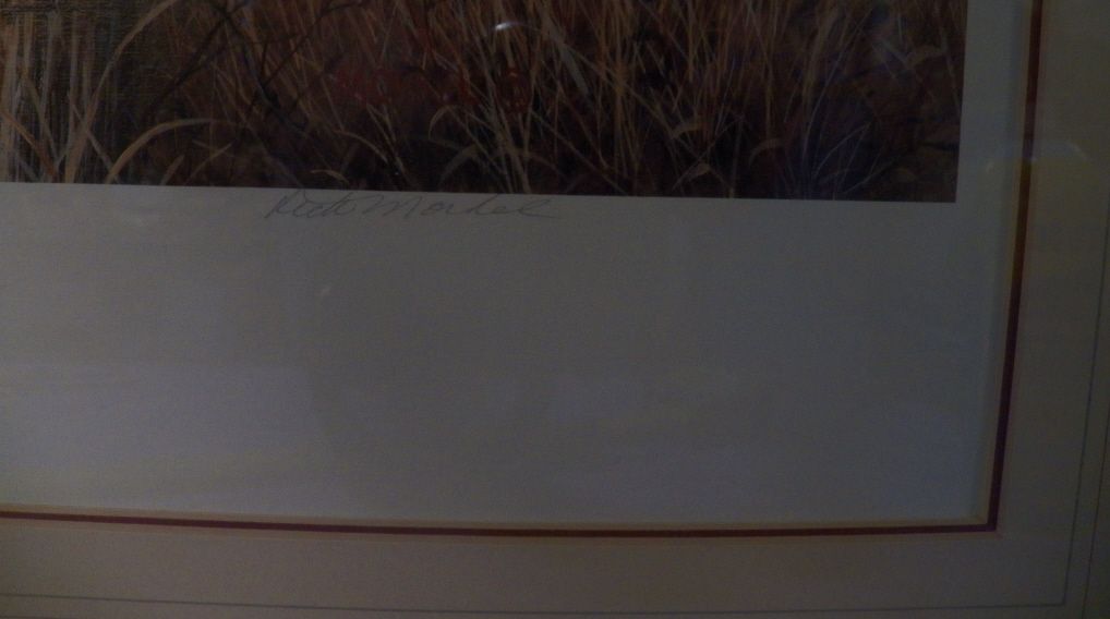 Autum Flush by Rick Morkel