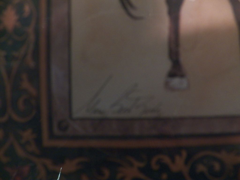 Ready To Hunt by Mary Beth Zeitz