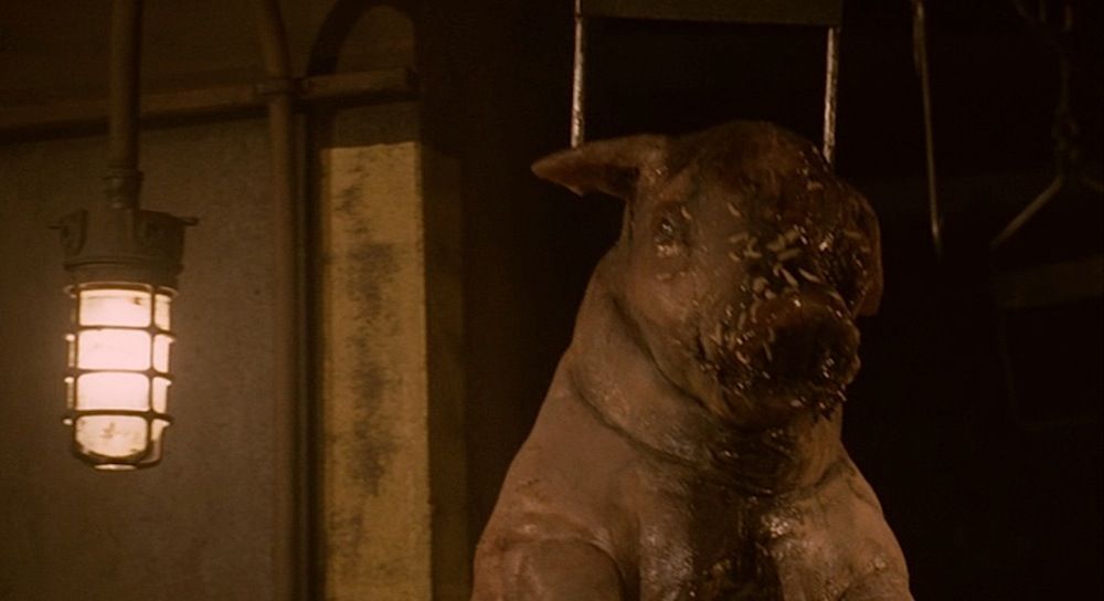 Saw III - Prop Pig