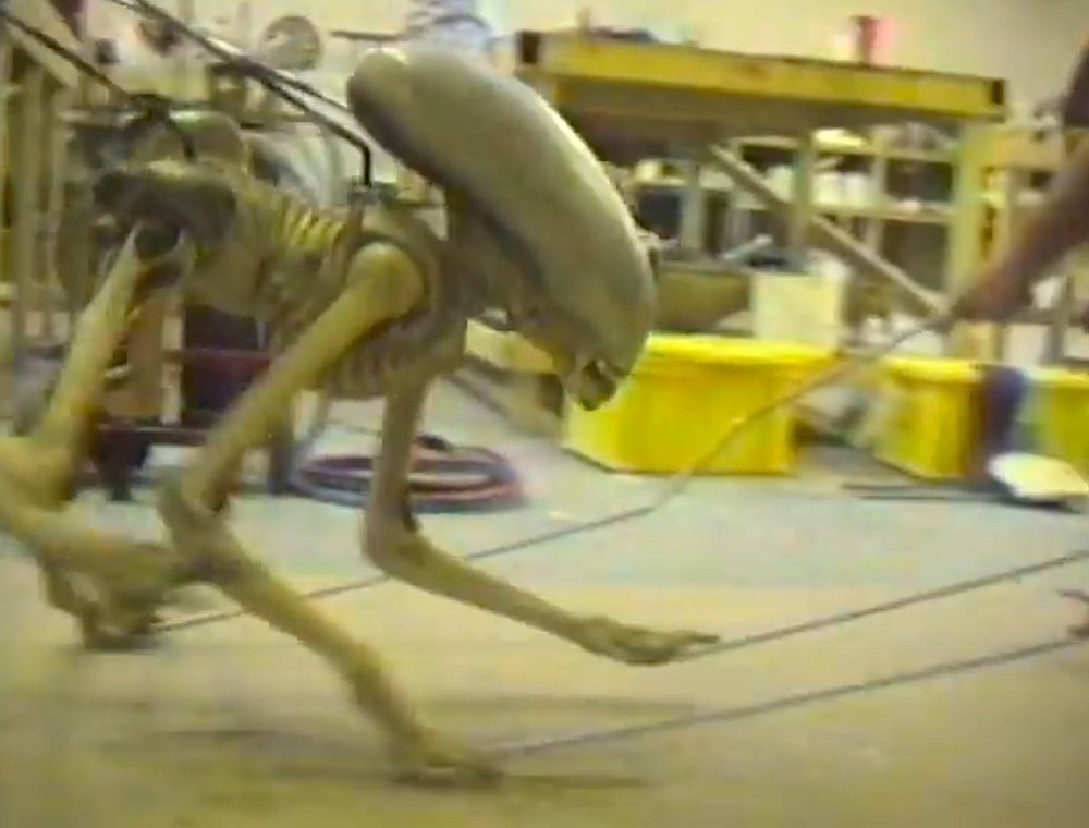 Alien³ - Alien Ox Bambi Burster Head