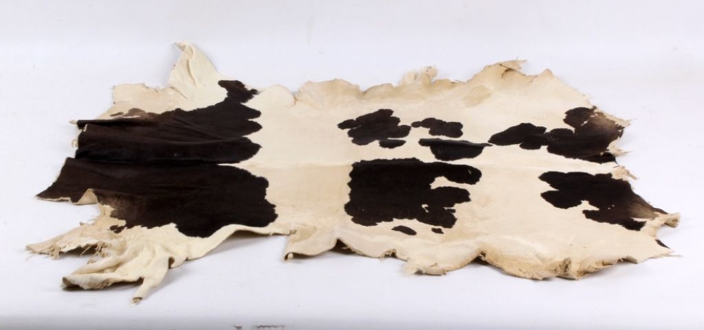 Unborn Holstein Calf Hide