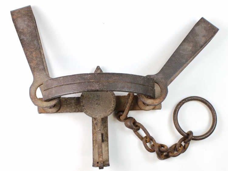 Original Newhouse No. 5 bear trap