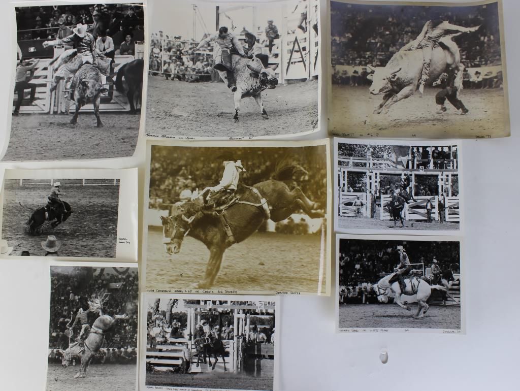 Collection of 9 vintage rodeo photos