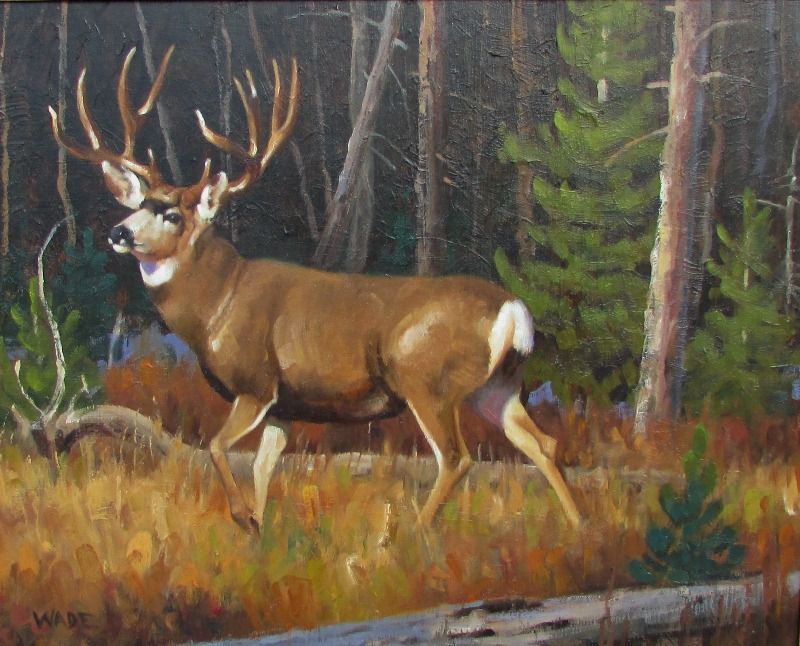 "Mule Deer" by Dave Wade