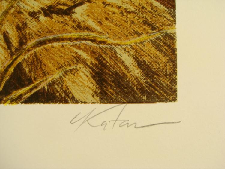 Marty Katon Signed Art Print Lion Cub