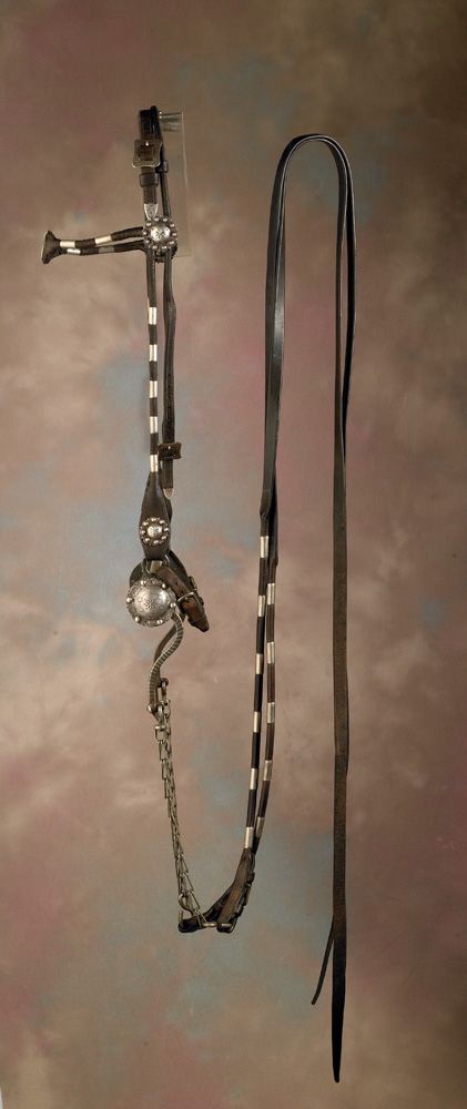 Visalia Bridle and Half Breed Bit