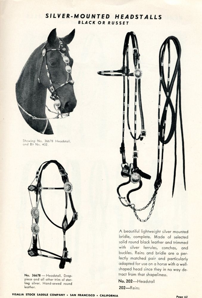 Visalia Bridle and Half Breed Bit