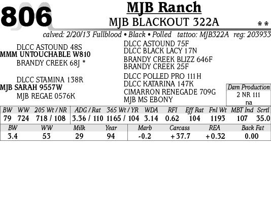 Lot 806 - MJB BLACKOUT 322A - MJB Ranch