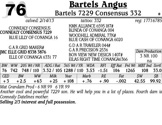 Lot 76 - Bartels 7229 Consensus 332 - Bartels Angus