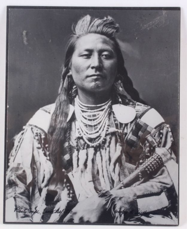 Plenty Coups, Crow Chief
