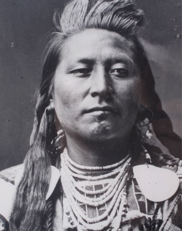 Plenty Coups, Crow Chief