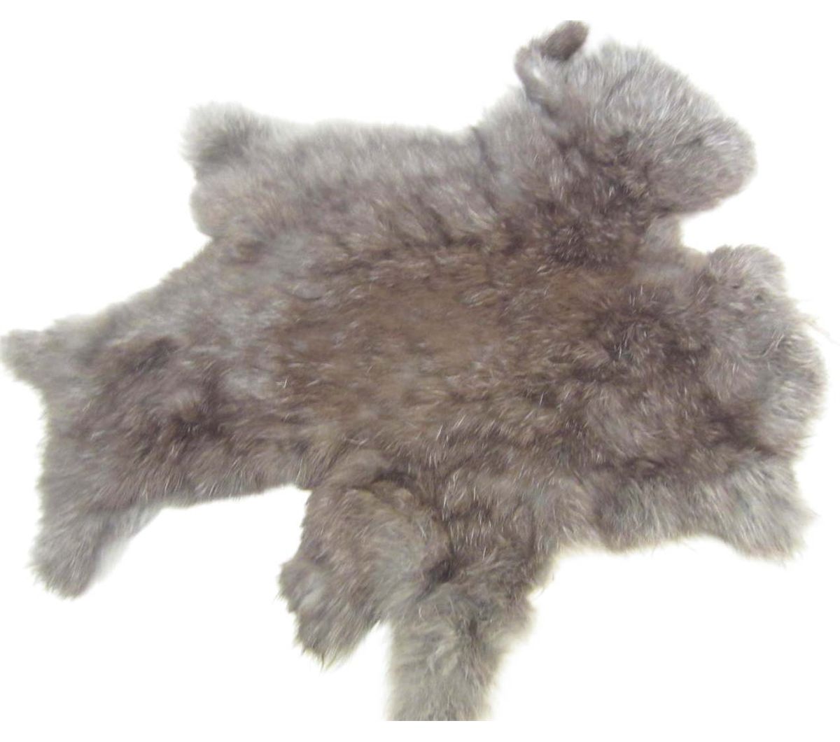 BABY KANGAROO PELT TAXIDERMY