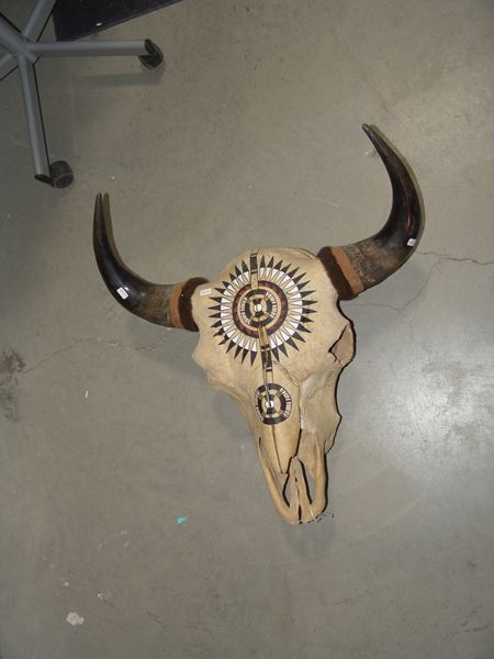 Painted Buffalo Skull