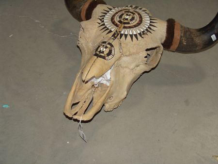 Painted Buffalo Skull