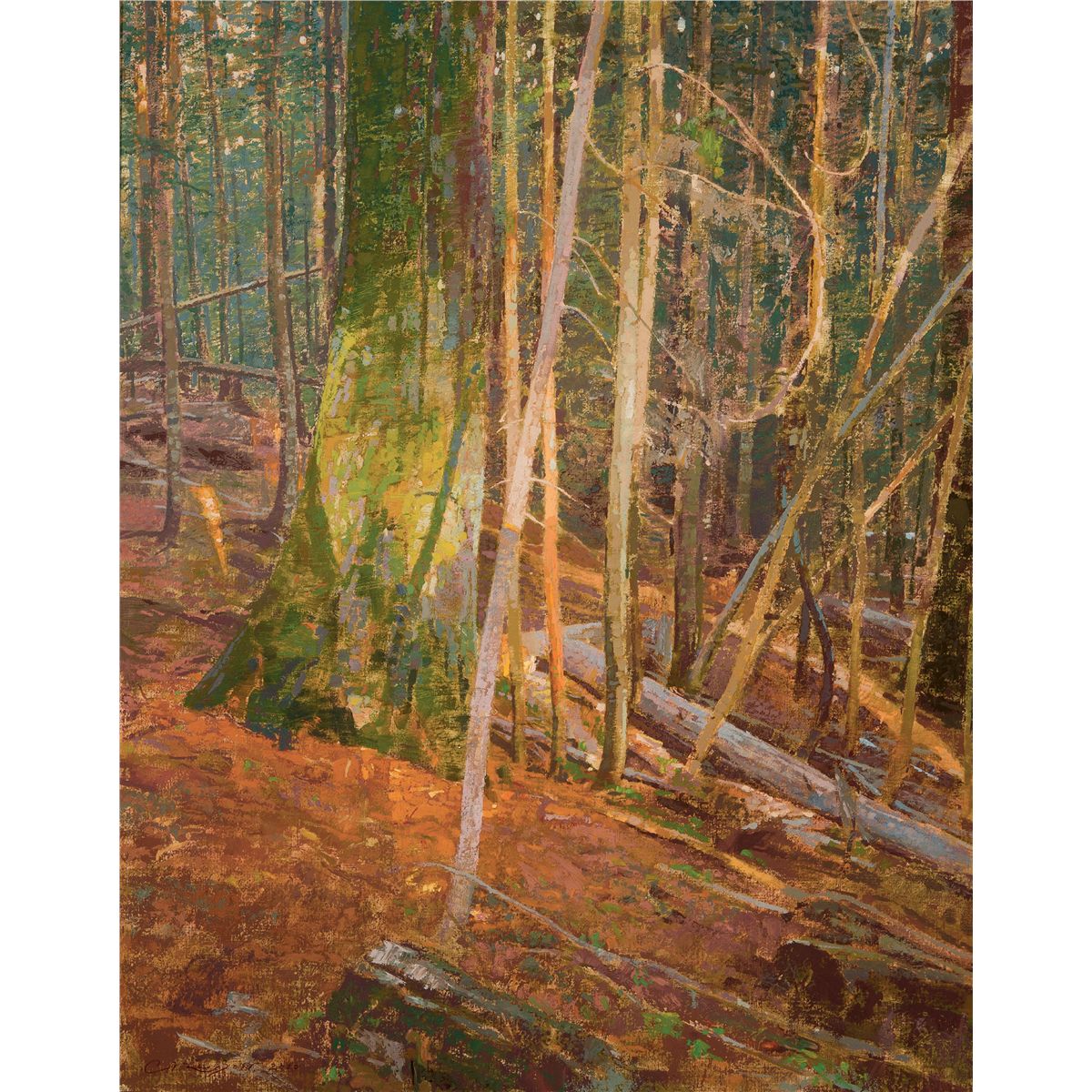 Fragment of Light by Carlson, George