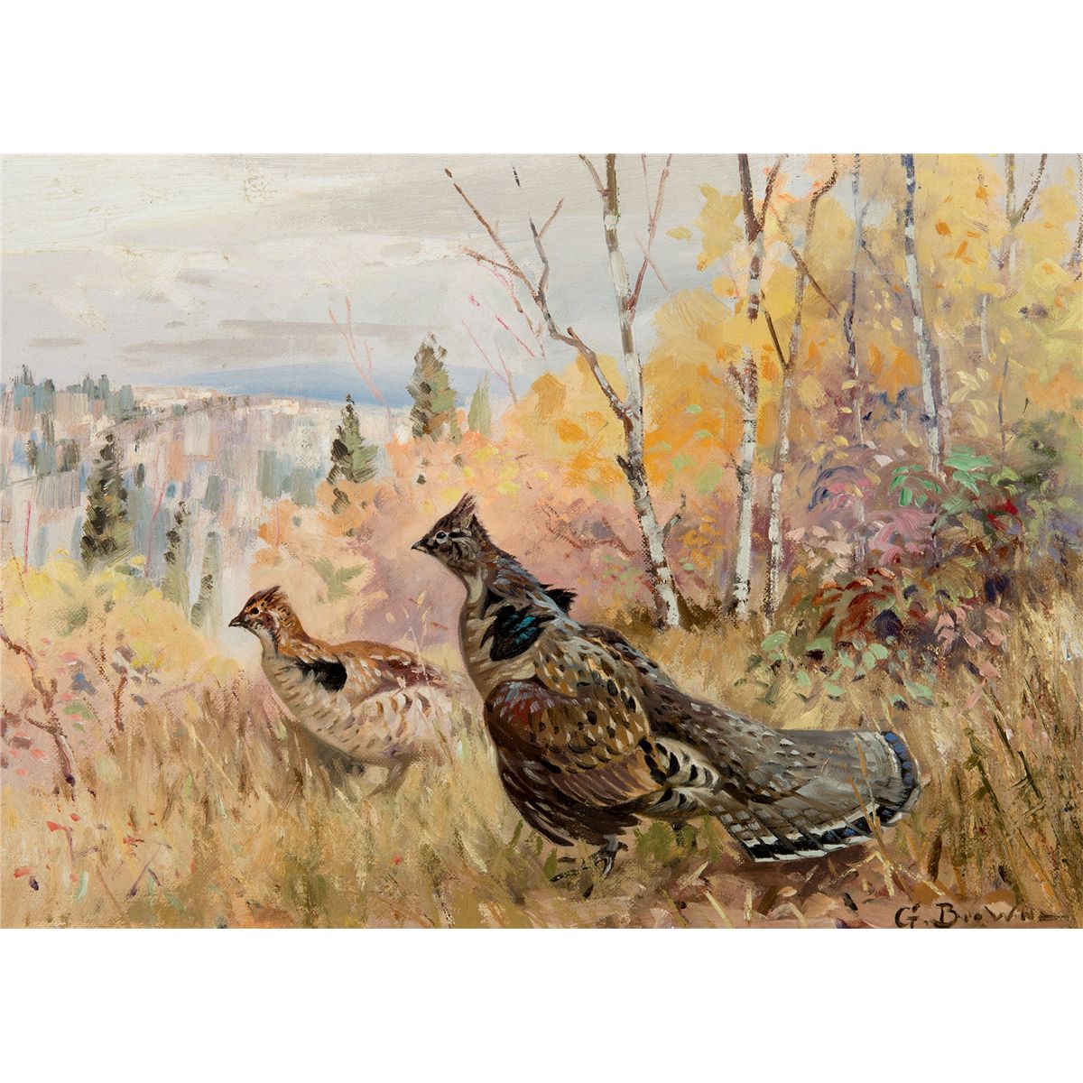 Study of Ruffed Grouse by Browne, George