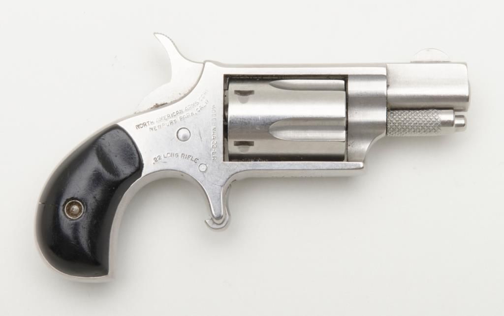 North American Arms mini stainless steel revolver in .22 long rifle ...