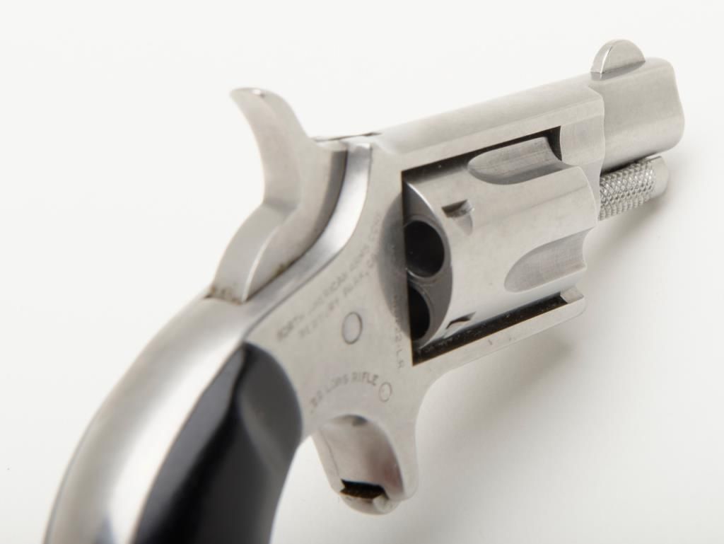 North American Arms mini stainless steel revolver in .22 long rifle ...