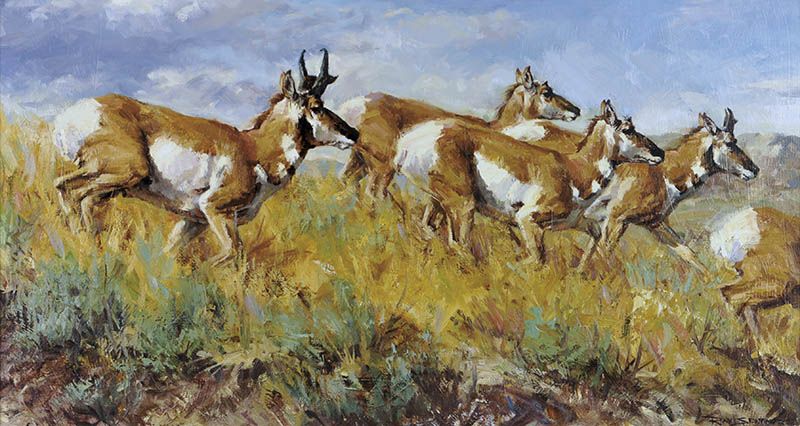 Ray Sexton - Downhill Run