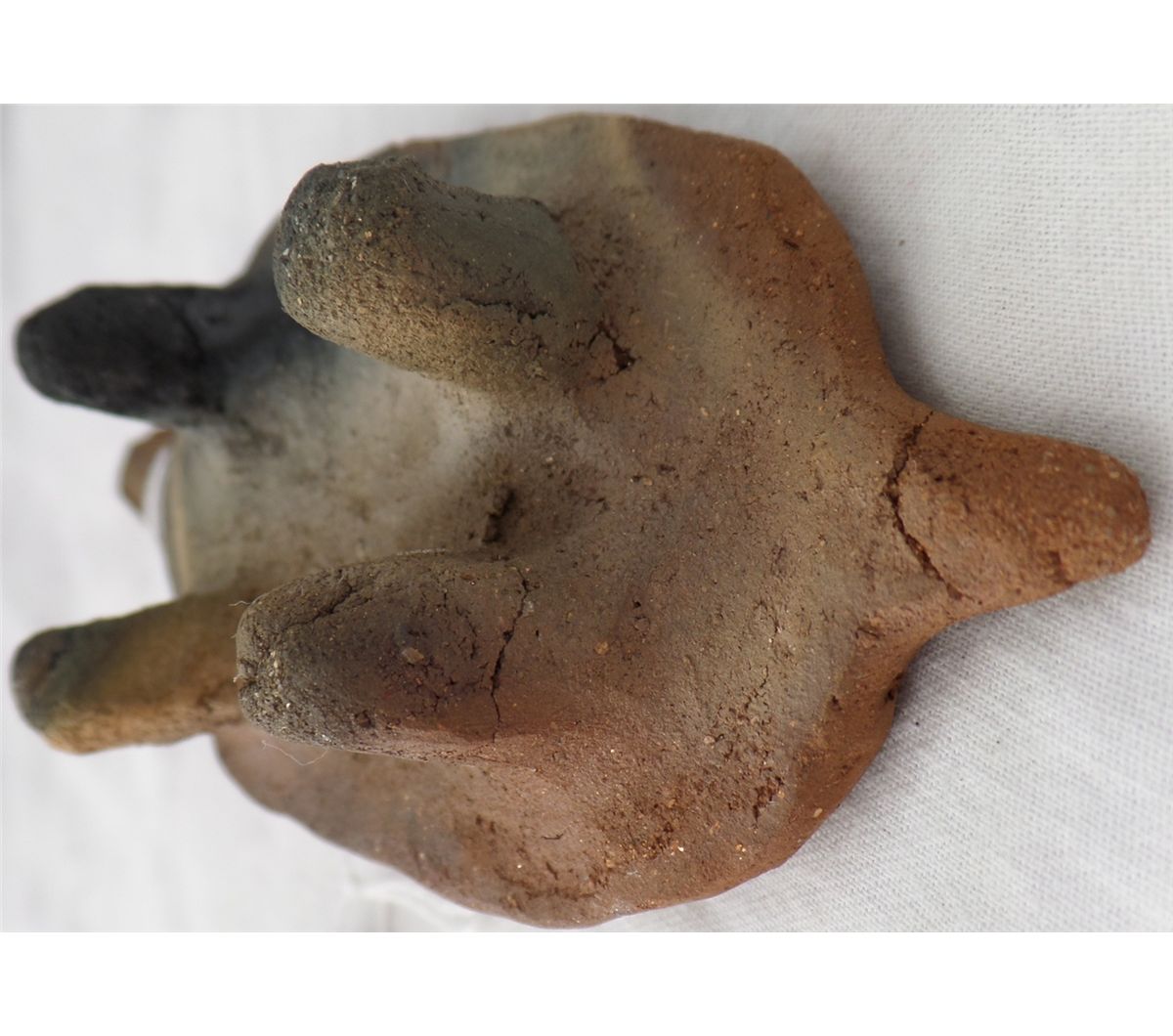 Native American Carved Turtle Effigy