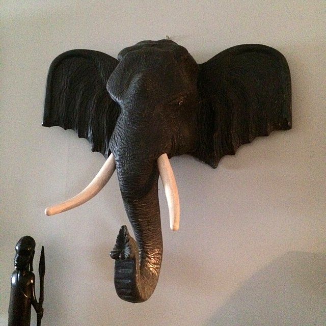 Decorative Elephant Bust Wall Mount