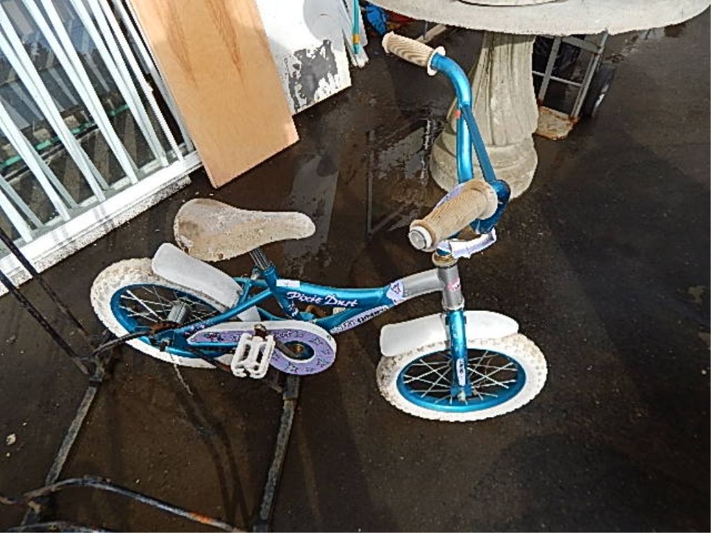 BIKE - CHILD'S - PIXIE DUST