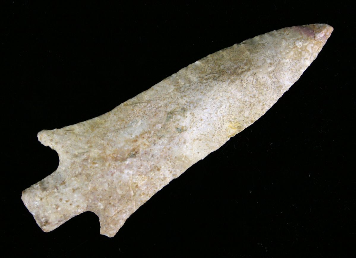 5" Etley type Reproduction