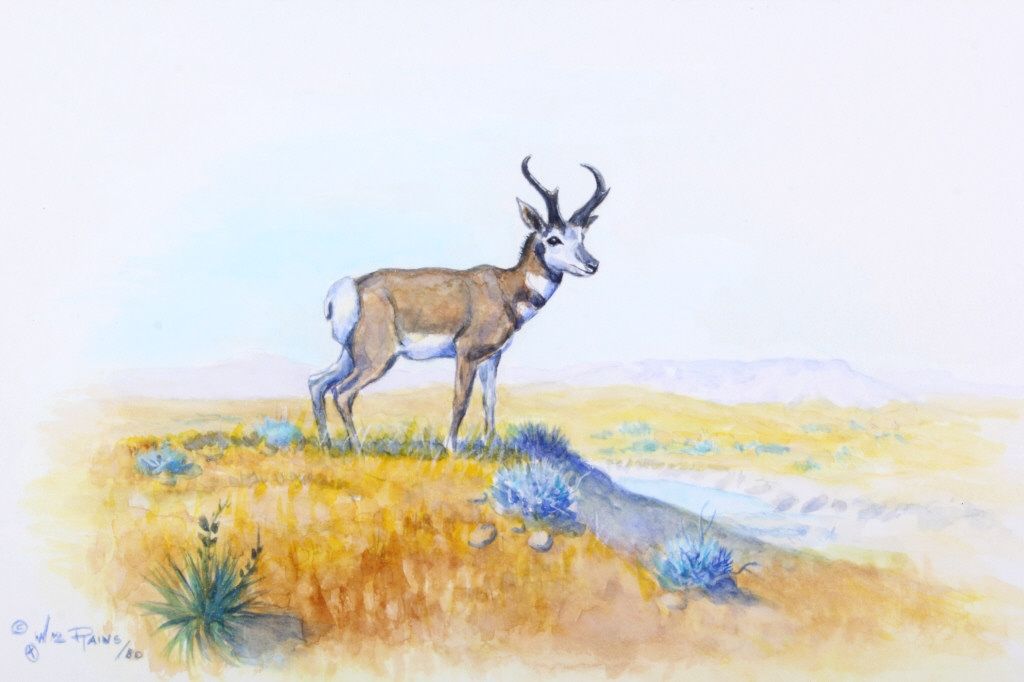 Billings, Montana Artist William Rains Watercolor