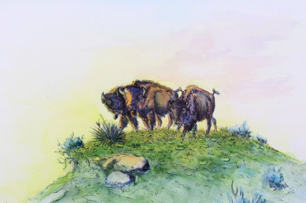 Buffalo on a Hill by William Rains Watercolor This