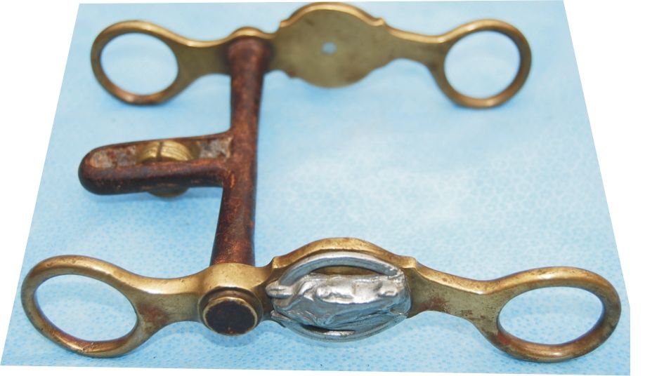 Buermann bronze horse head half breed bit