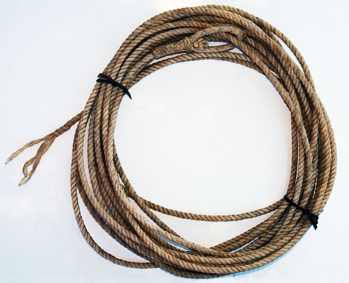 twisted rawhide reata, 50'